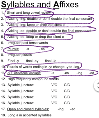 How I Created a Self-Paced, Differentiated Spelling Program for My ...